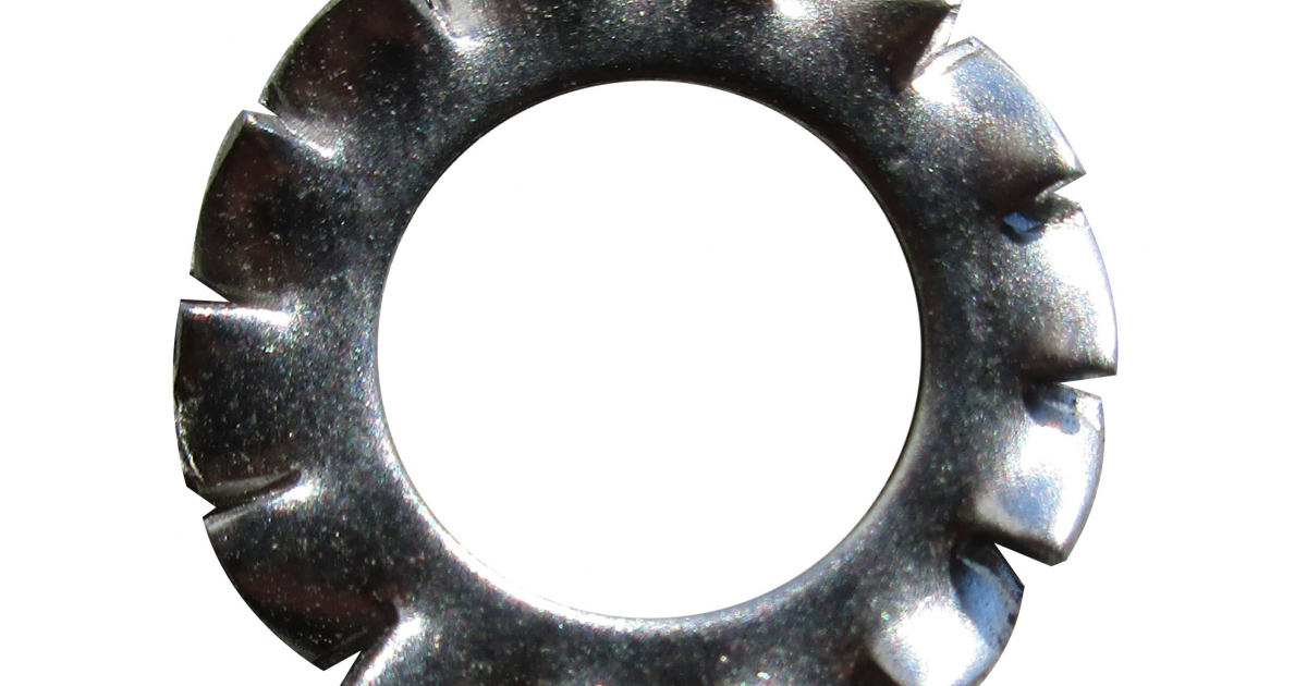 Serrated lock washer - Stainless steel screws - MTO Nautica Store